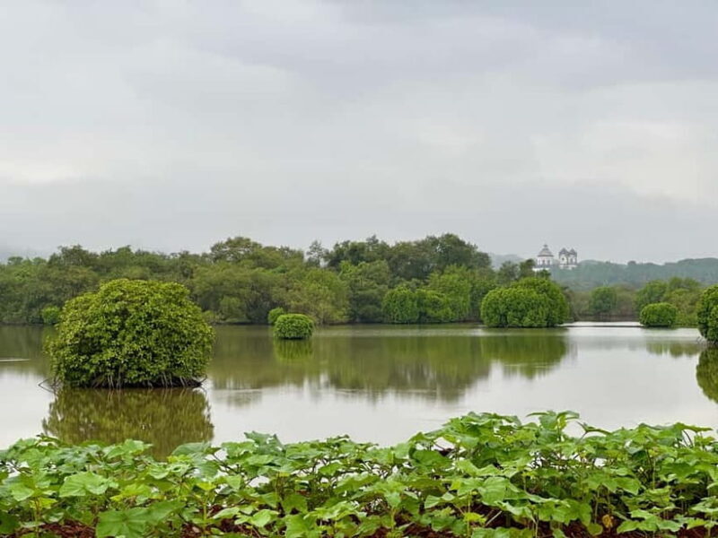 Divar Island Excursion with a Native Islander - Final Thoughts