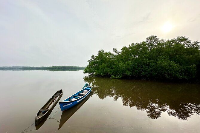 Divar Island excursion with Local residents on Nature and Culture - What Travelers Can Expect