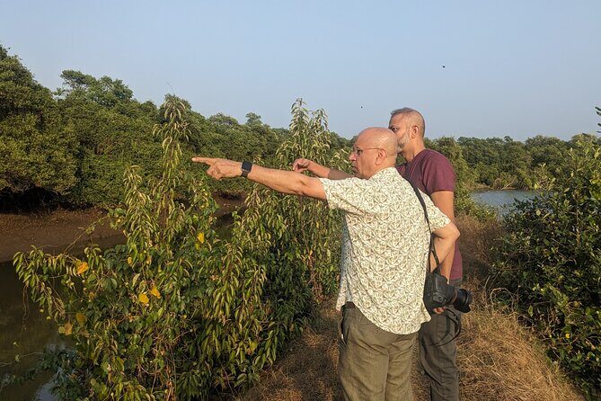 Divar Island excursion with Local residents on Nature and Culture - Summary of the Experience