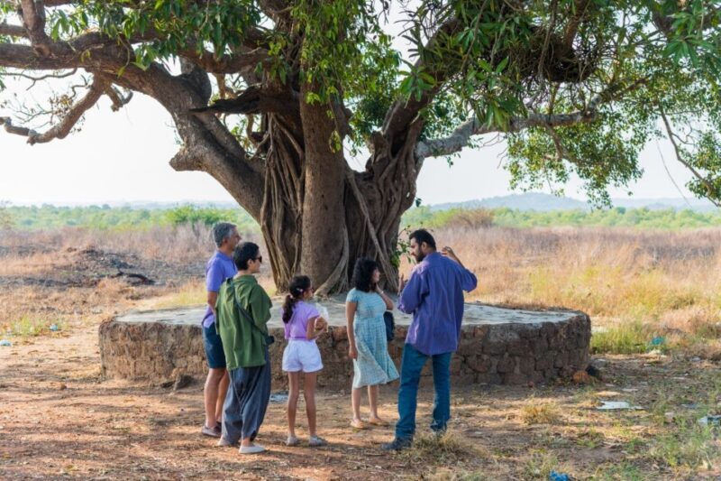 Divar Island: Local Goan Village Tour with Traditional Lunch - A Deep Dive into the Experience