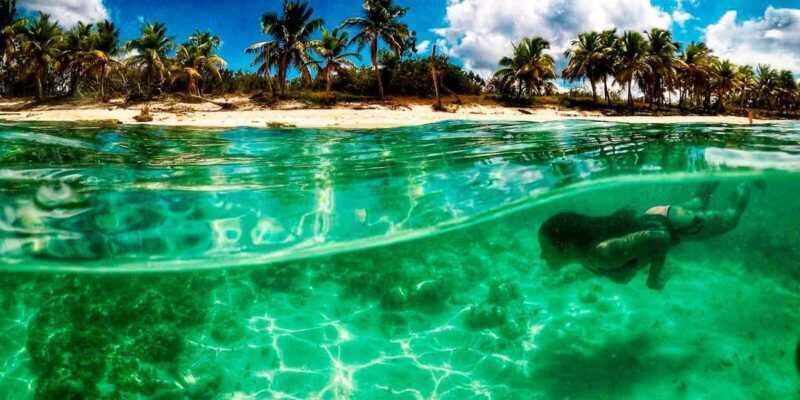 Dive Boat Tour on Catalina Bayahibe Island - An In-Depth Look at the Catalina Bayahibe Island Boat Tour