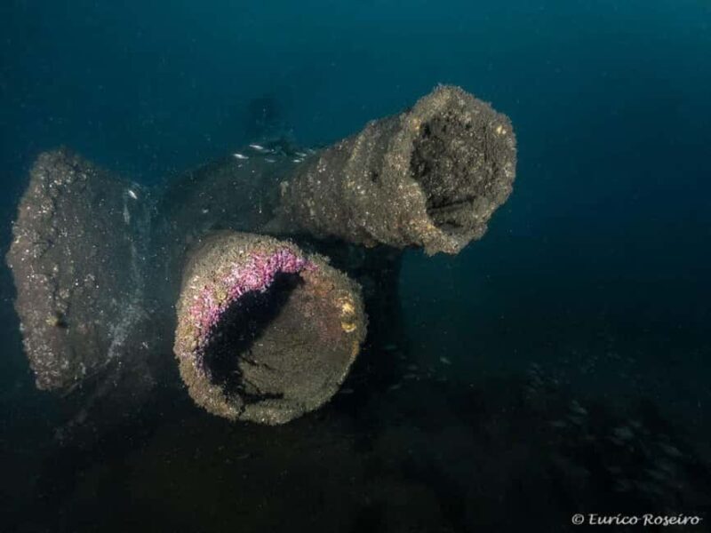 Dive the U-boat 1277 - the Most Iconic Dive in Portugal - Key Points