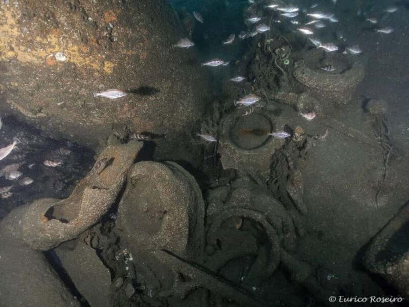 Dive the U-boat 1277 - the Most Iconic Dive in Portugal - An Overview of the Experience