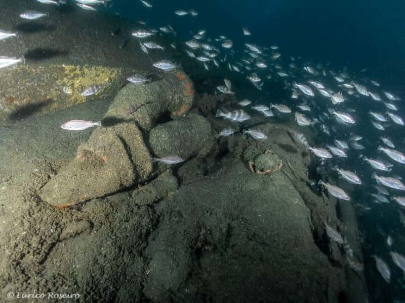 Dive the U-boat 1277 - the Most Iconic Dive in Portugal - FAQ