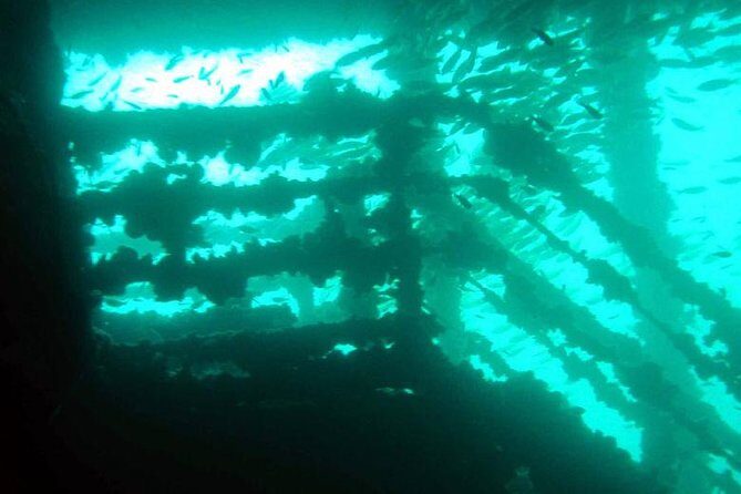 Dive Trip to King Cruiser wreck from Phuket - What to Expect on This Tour