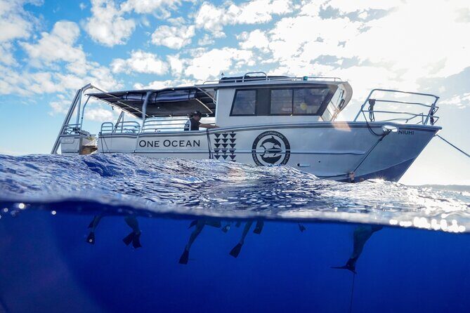 Dive with Sharks in Hawaii: Shark Tour from Haleiwa - What the Tour Includes and What to Consider