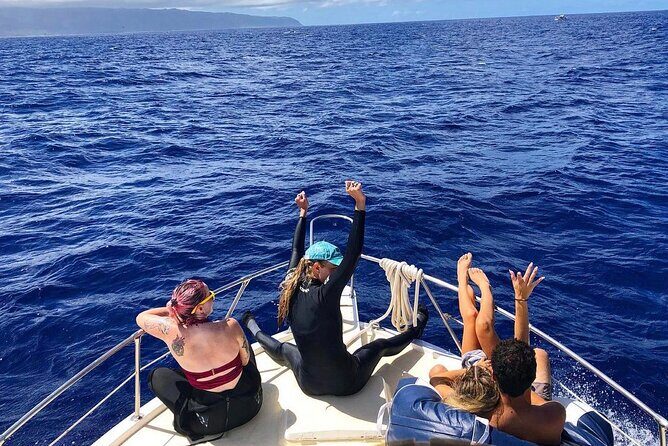 Dive with sharks in Oahu Hawaii: Educational Tour (No cage) - The Reviews and What They Reveal