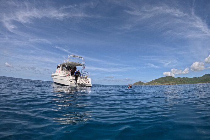 DiveCarib - An Eco-Friendly Certified Diver Trip in Antigua - What You Can Expect from the DiveCarib Experience