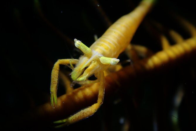 DiveGurus -Scuba Diving in Boracay - The Sum Up