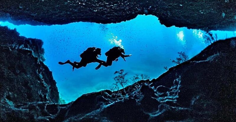 DiveSnap Underwater Sports Thrills:Lantern Point & P31 Wreck - The Reviews: Authentic Voices