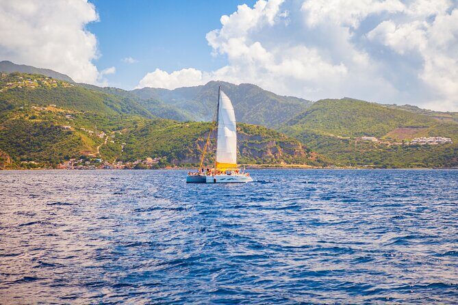 Diving and Snorkeling Catamaran Private Tour in Martinique - Key Points