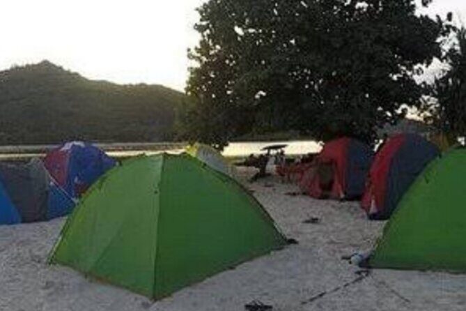 Diving and snorkling on gili sekotong - What Travelers Are Saying