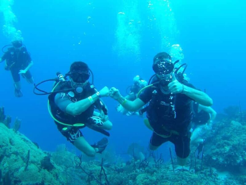 diving catalina island from punta cana - Introduction: What This Tour Offers and Why It Stands Out