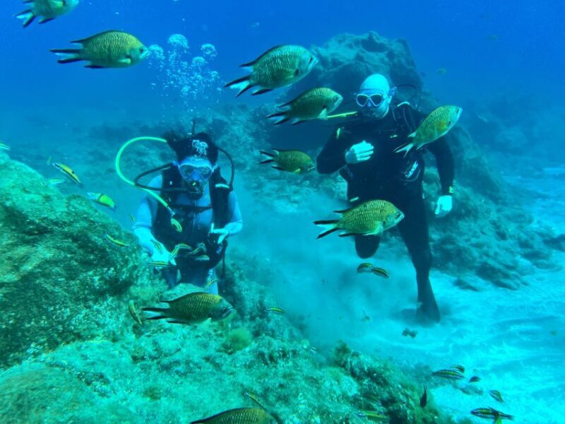 Diving course for beginners in turtle area Tenerife - The Experience in Detail