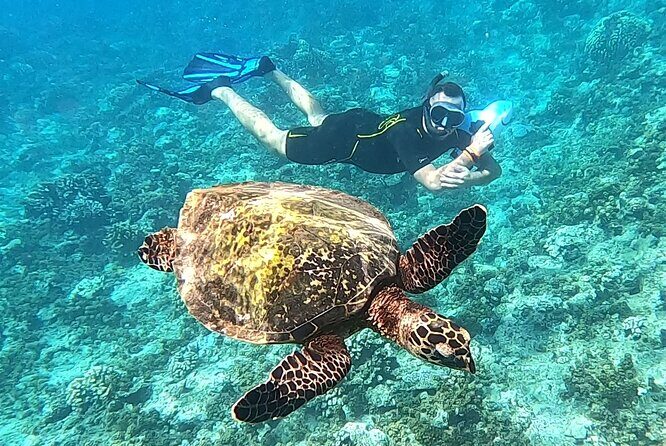 Diving day - Final Thoughts