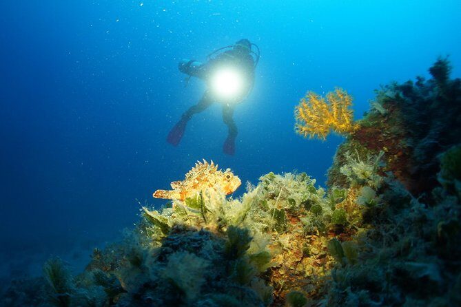 Diving day tour with 2 dives - Key Points