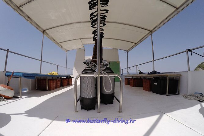 Diving day tour with 2 dives - Wrapping It Up
