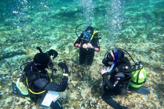 Diving experience in Malta - Practical Considerations