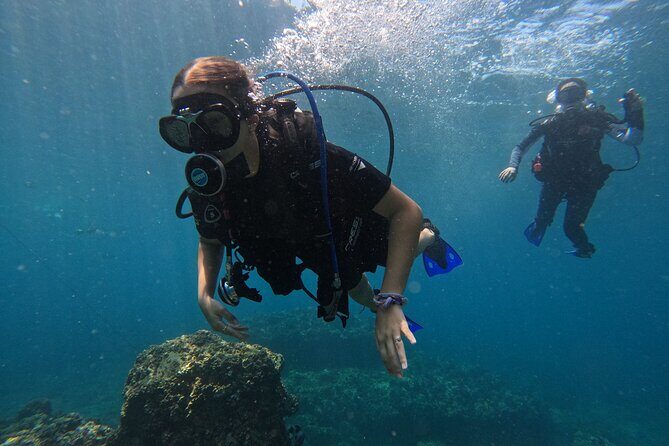 Diving exploration for beginners in Los Arcos de Mismaloya - Why This Tour Stands Out