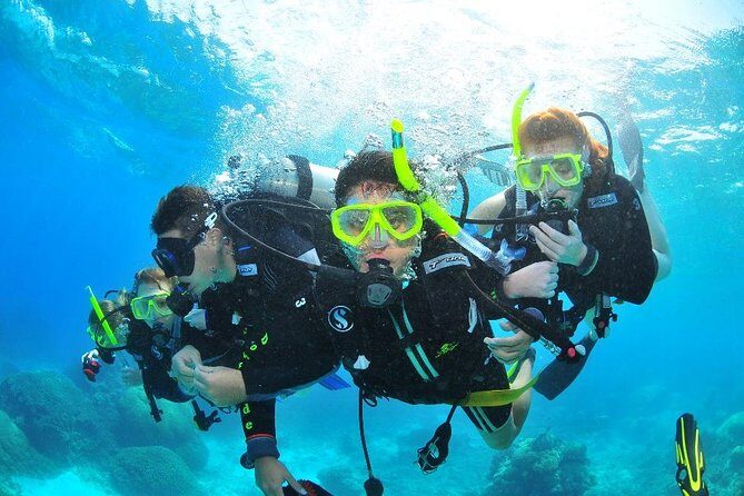 Diving (For Beginner diver) - Pattaya - Why Choose This Tour?