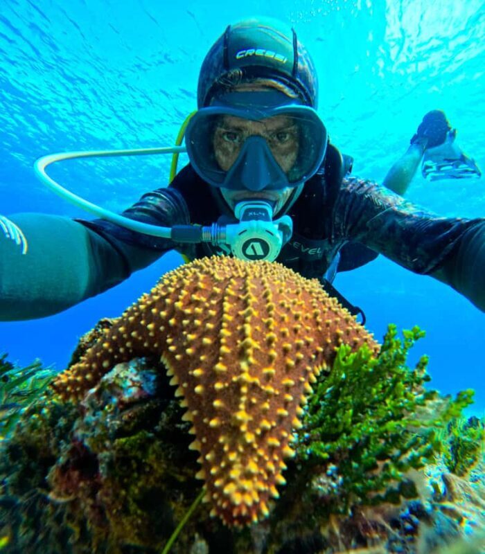 Diving for Beginners in Cozumel: Your First VIP Experience - Detailed Breakdown of the Itinerary