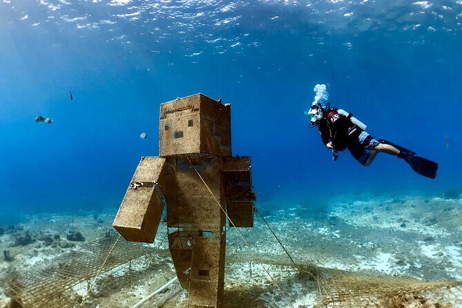 Diving For People Without Experience - What Do Reviewers Say?