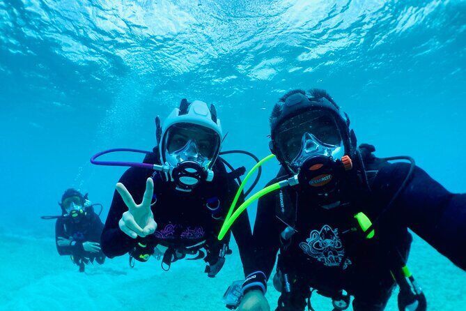 Diving For People Without Experience - Pricing and Value