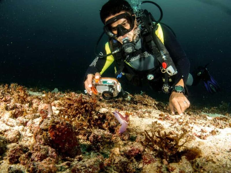 Diving in Boracay: Fundive for Certified Divers - The Sum Up