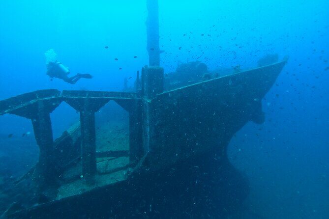 Diving in Colombo - Concluding Thoughts