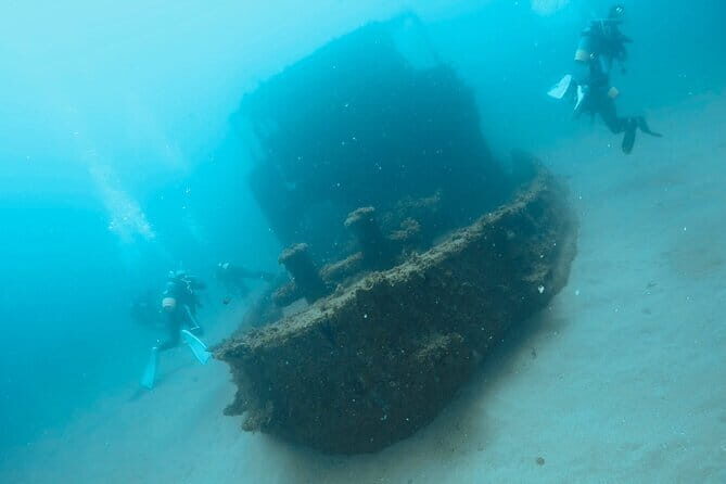 Diving in Kansai, Japan for License Holders - An In-Depth Look at the Tour Experience