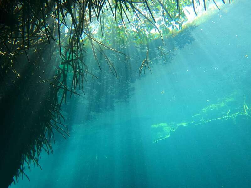 DIVING IN MAYAN CENOTES; THE LARGEST AQUIFER IN THE WORLD - Key Points