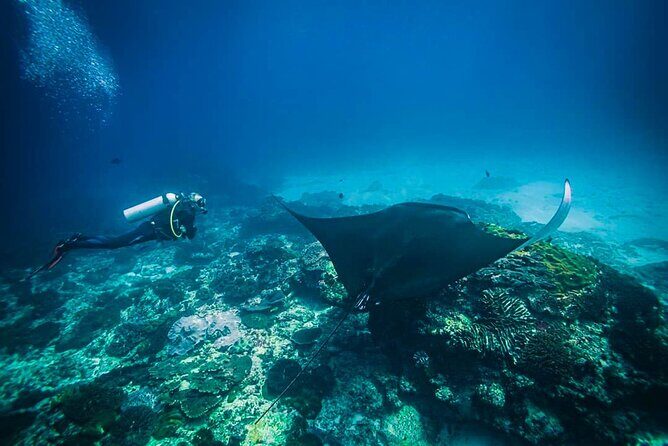 Diving in Nusa Penida - The Experience from the Traveler’s Perspective