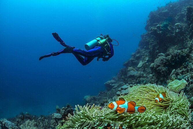 Diving in Nusa Penida - FAQ: Your Practical Questions Answered