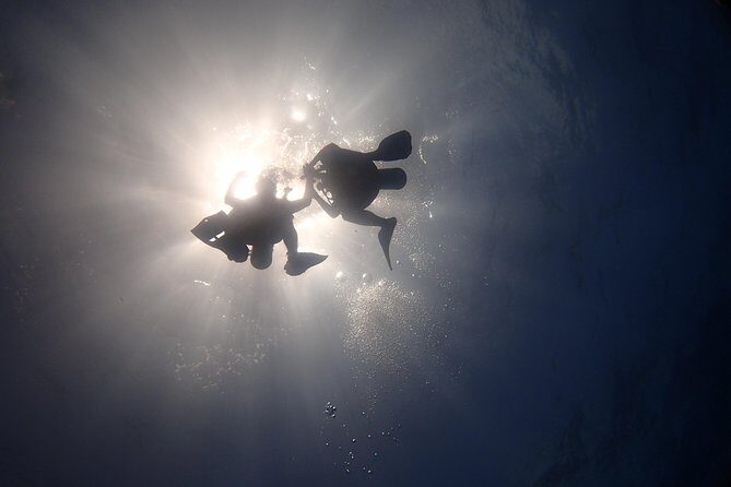 Diving in the Mexican Caribbean for Beginners | 2 Tanks 2 Dives | All Inclusive - FAQ