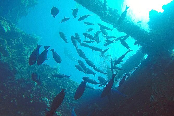 Diving in Tulamben - Introduction