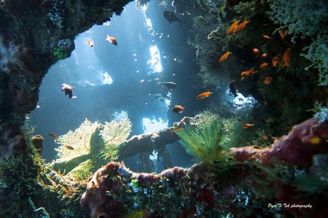 Diving in Tulamben - A Detailed Look at the Tour Experience