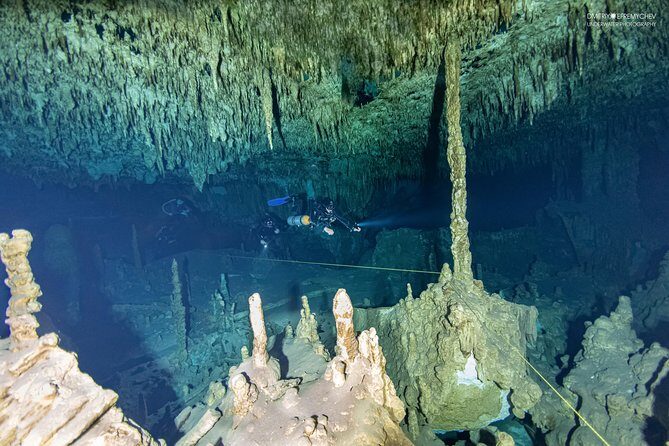 Diving package Cenotes exploration - What Youll Experience During the Tour