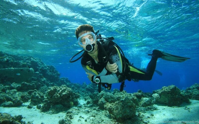 Diving Tour from Alanya & Side with Lunch - 2 Dives Included - Introduction