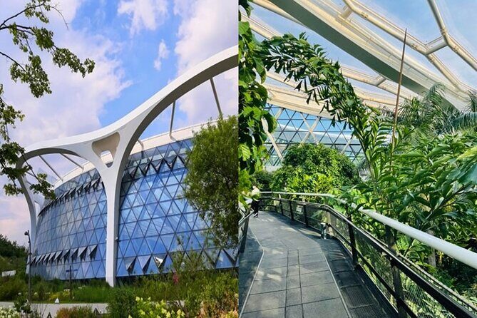 DIY Seoul Private Tour: Select 4 places you want to go - Who Should Consider This Tour?