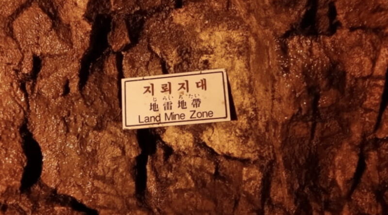 DMZ 2nd tunnel & Y Shaped Suspension Bridge Tour from Seoul - Who Should Consider This Tour?