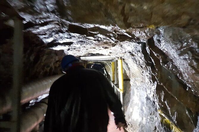 DMZ Half Day Tour Korea Border Highlights - FAQ Section