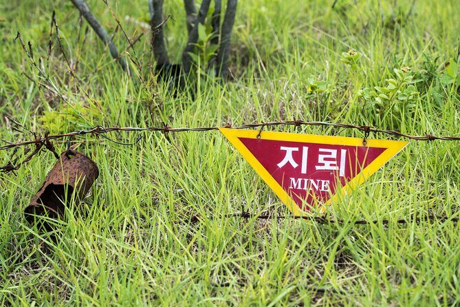 DMZ One Day Tour in Gyeonggi-do with English or Spanish - The Sum Up