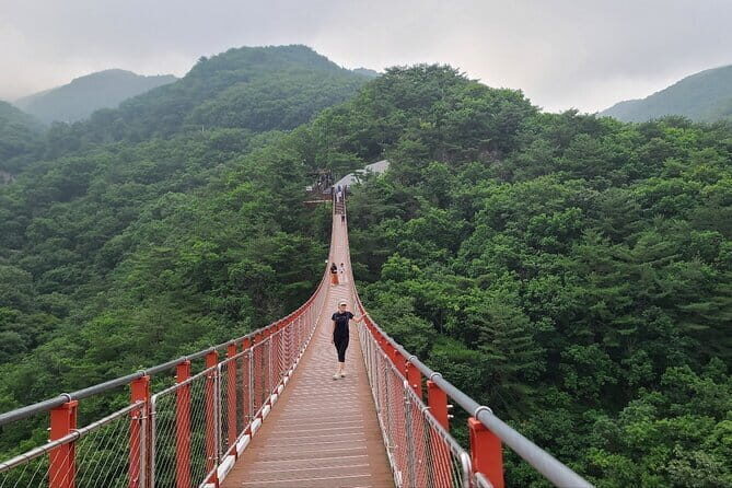 DMZ Private tour & Suspension Bridge - Seamless Pickup and Private Transport