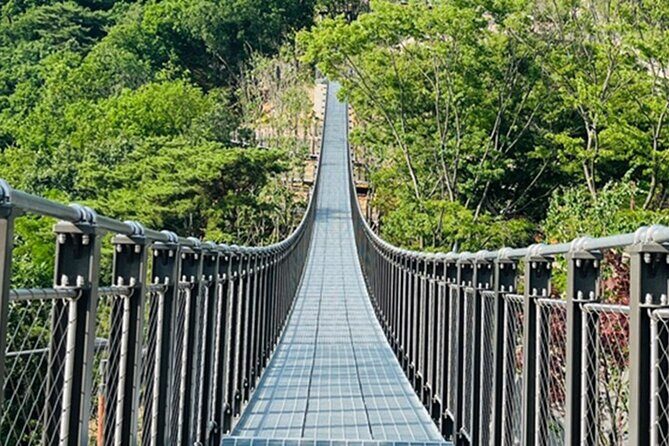 DMZ Tour & Campnic with BBQ Experience - Who Should Consider This Tour?