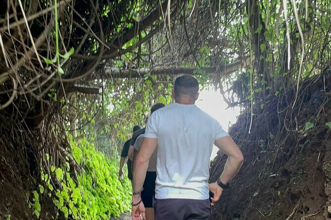 DMZ TOUR HUE - Deluxe group tour full day - A Detailed Look at the Tour Experience