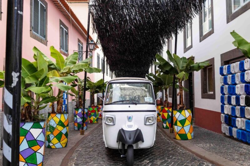 Do Funchal - Câmara de Lobos Fishing Village Tuk Tuk Tour - The Value of This Tour