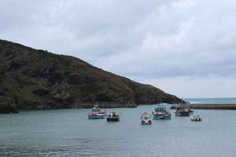 Doc Martin Tour - The Practicalities: Booking, Timing, and Cost