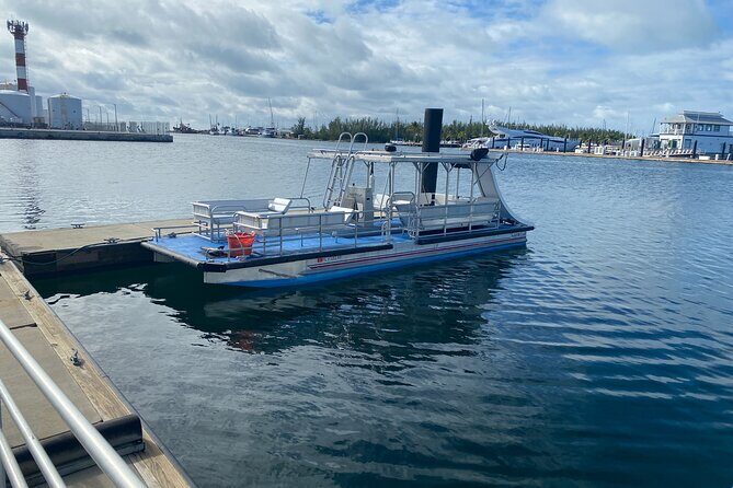 Dock Side Adventure Kayak, Paddle Boarding, Sunfish sailboats - Key Points