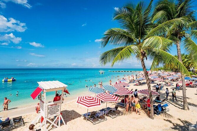 Doctors Cave Beach and Margaritaville Private Tour - The Itinerary in Detail