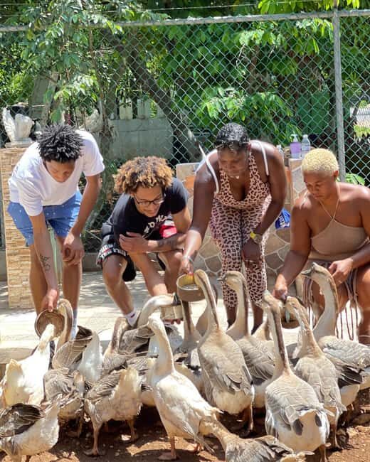 Doctor's Cave Beach, Canabis and Bird Farm Private Tour - Experience the Best of Montego Bay with the Doctors Cave Beach, Canabis, and Bird Farm Private Tour